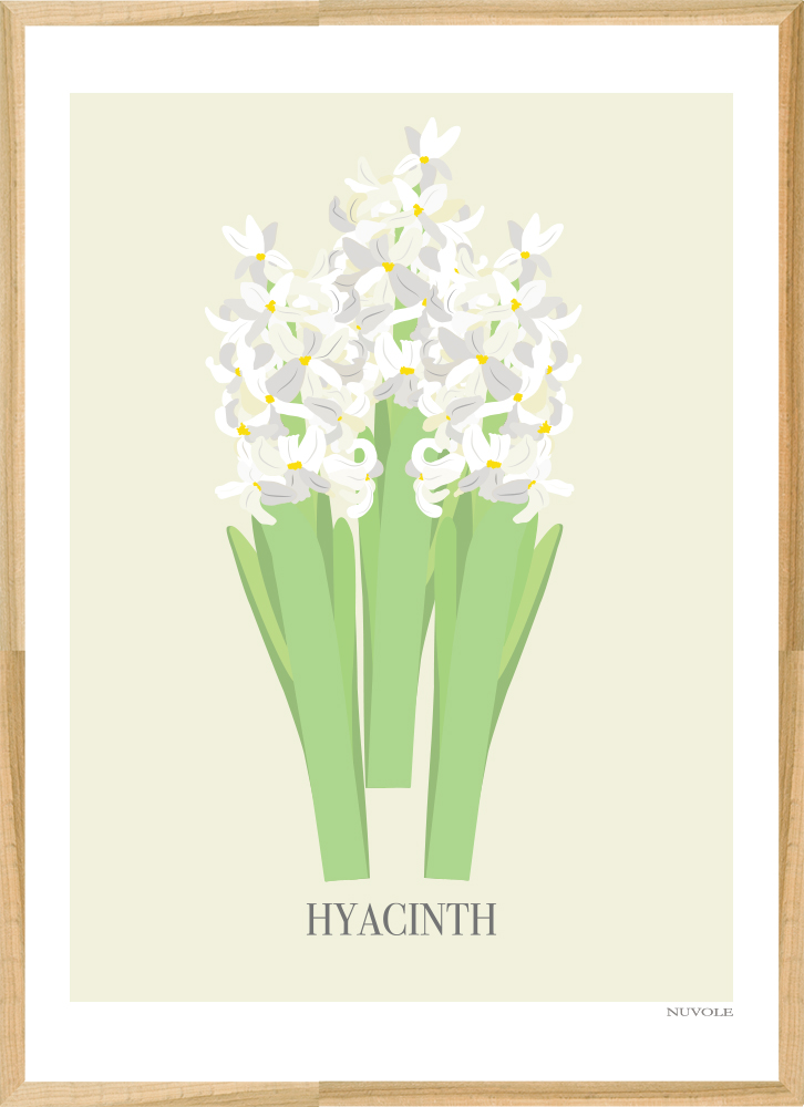 Hyacinth Poster | Nuvole.dk